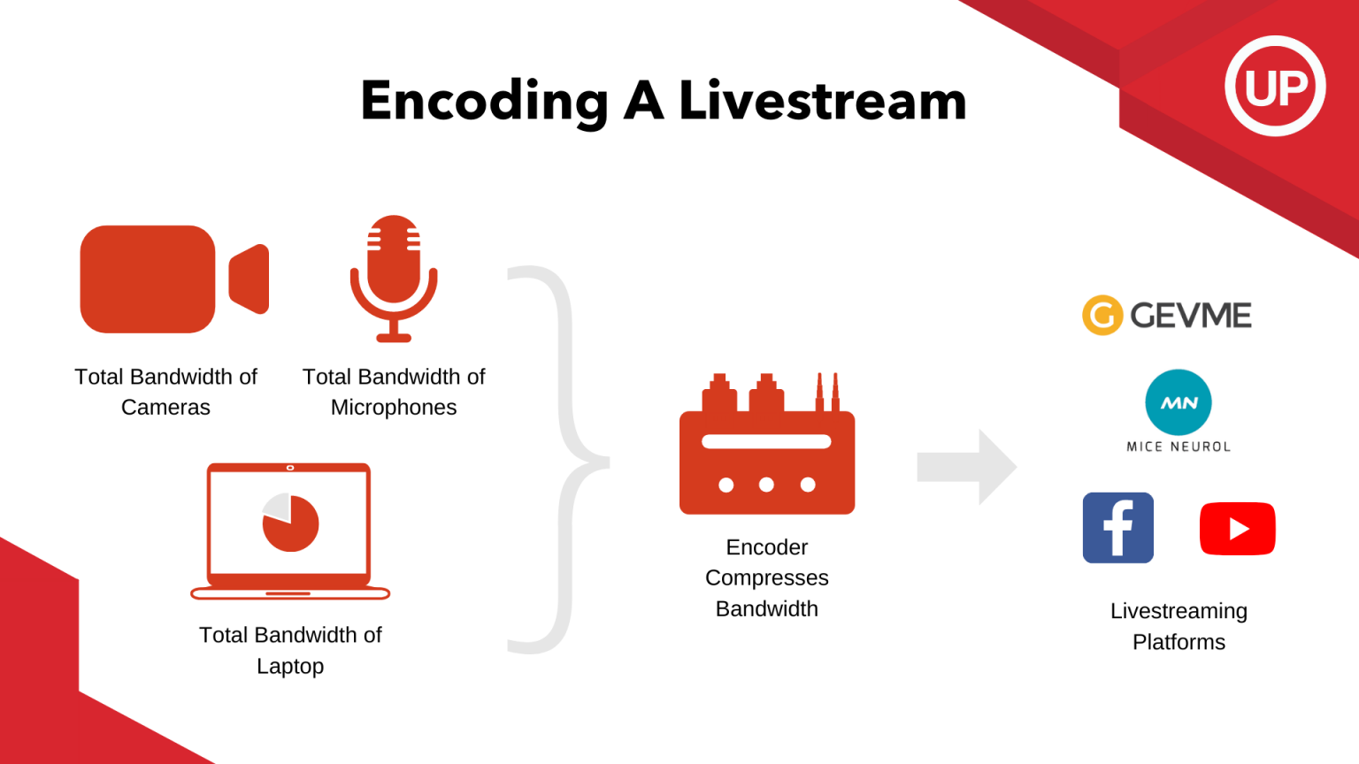 How Much Bandwidth Do You Need To Livestream Smoothly?